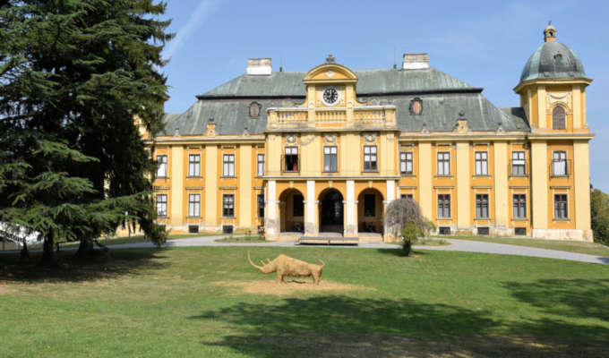 Nosorog - Nova atrakcija - TV Nasice.com