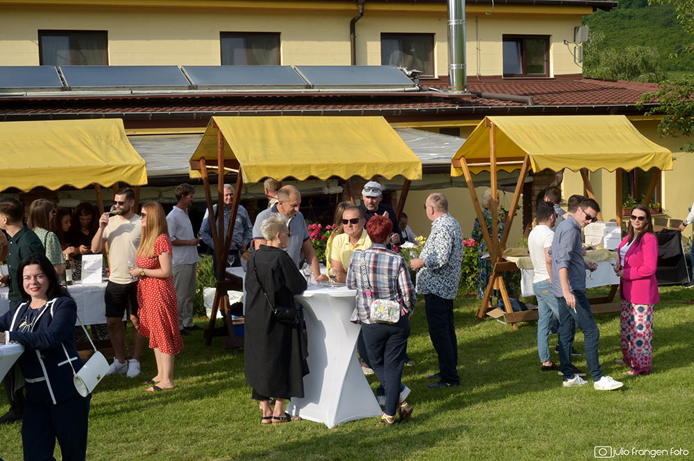 4. Zalazak u vinograda u Brodskom Stupniku uz jazz Lela Kaplowitz ...