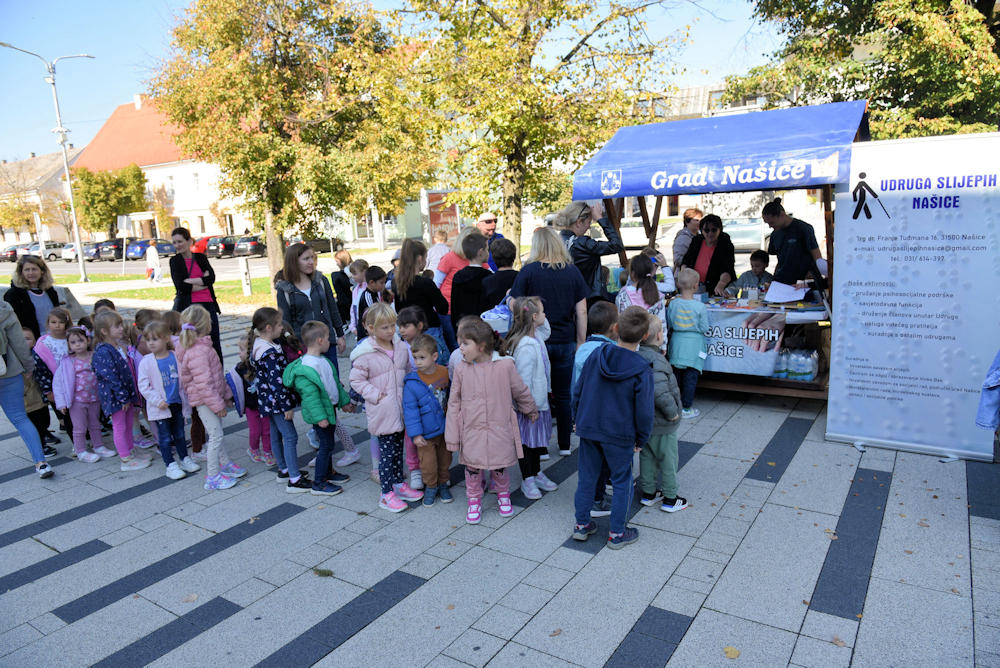 Udruga slijepih Našice organizira edukativnu tribinu „Rani razvoj ...